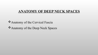 Anatomy of deep neck spaces parapharyngeal & retropharyngeal.pptx