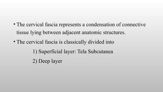 Anatomy of deep neck spaces parapharyngeal & retropharyngeal.pptx