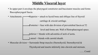 Anatomy of deep neck spaces parapharyngeal & retropharyngeal.pptx