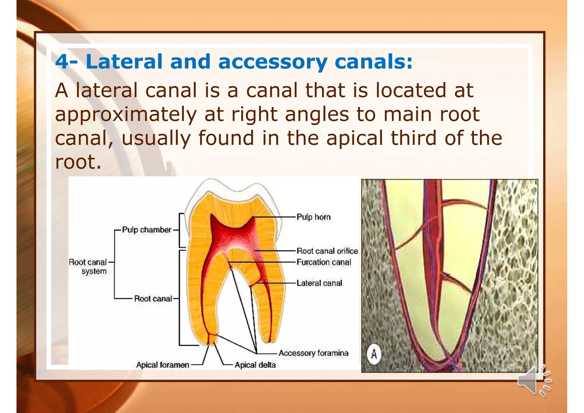 Anatomy of dental pulp.pdf