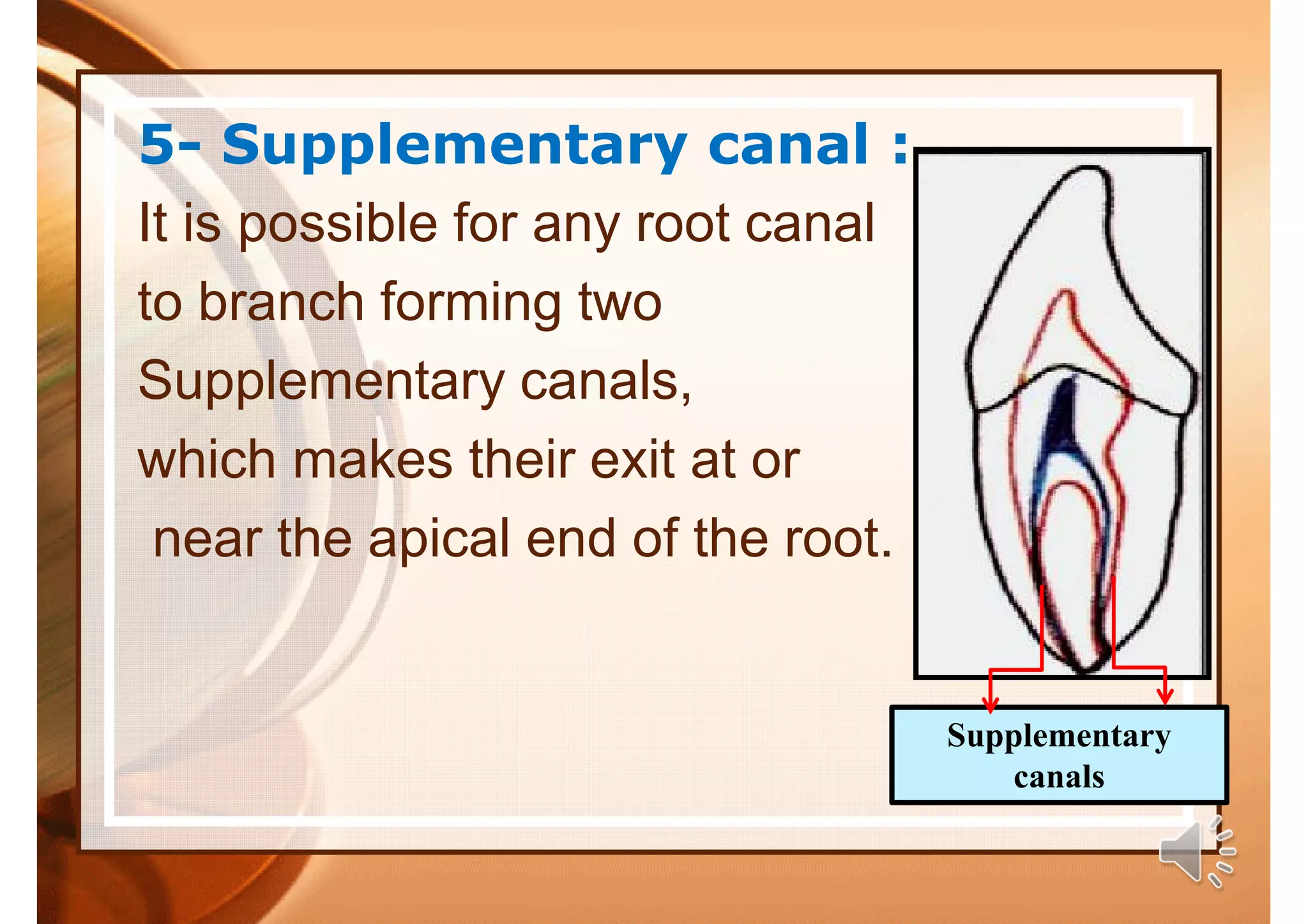 Anatomy of dental pulp.pdf