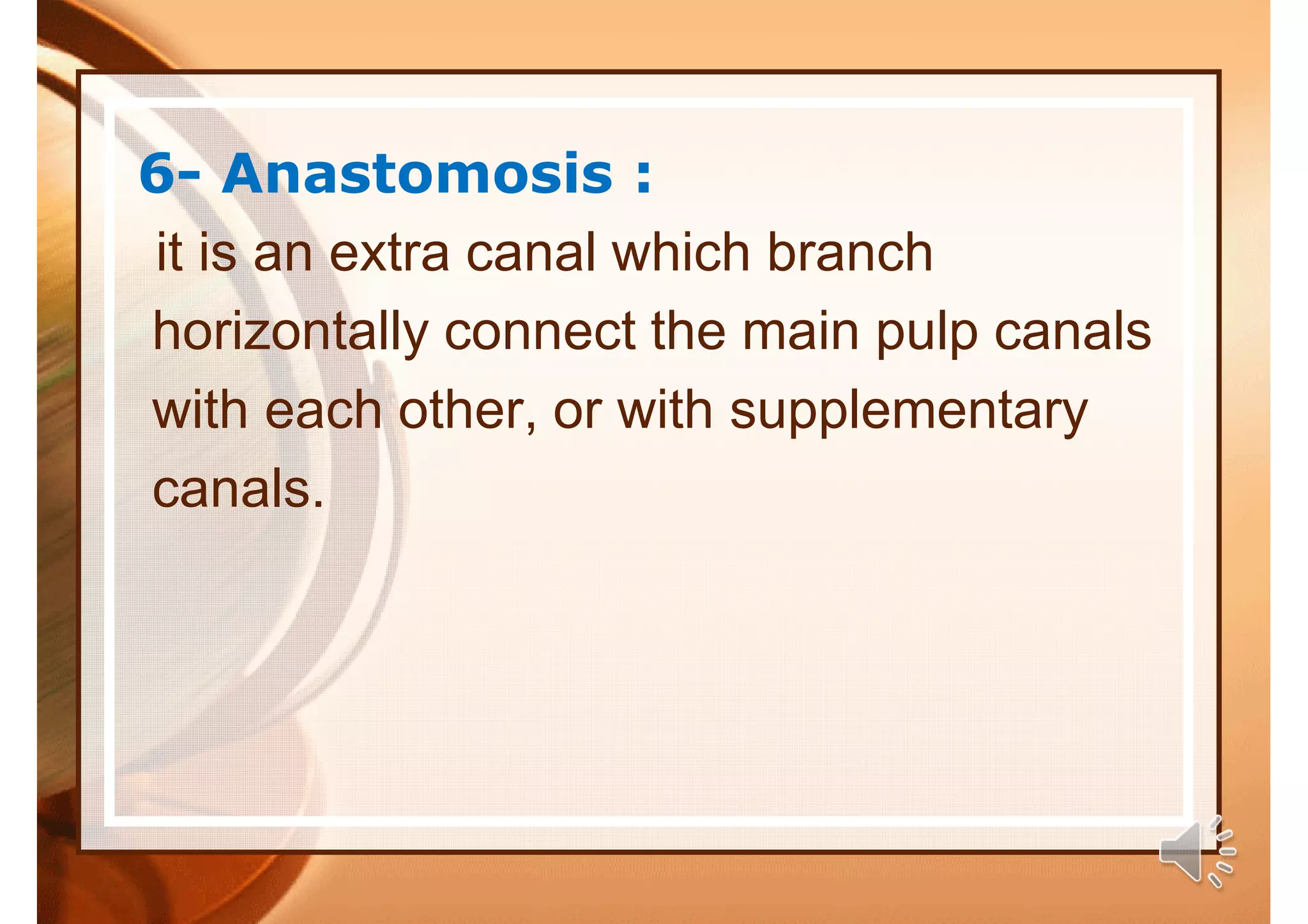 Anatomy of dental pulp.pdf
