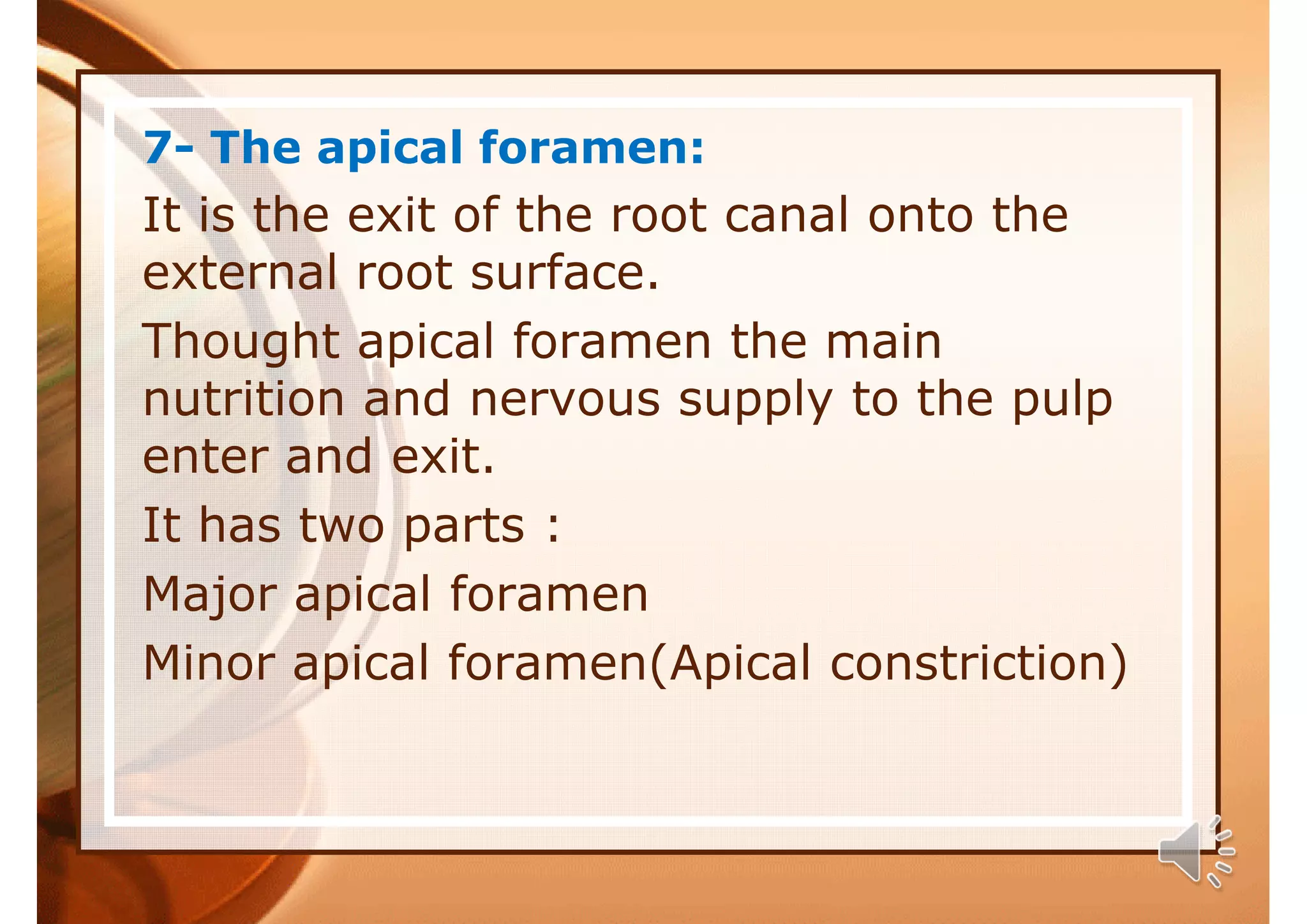 Anatomy of dental pulp.pdf