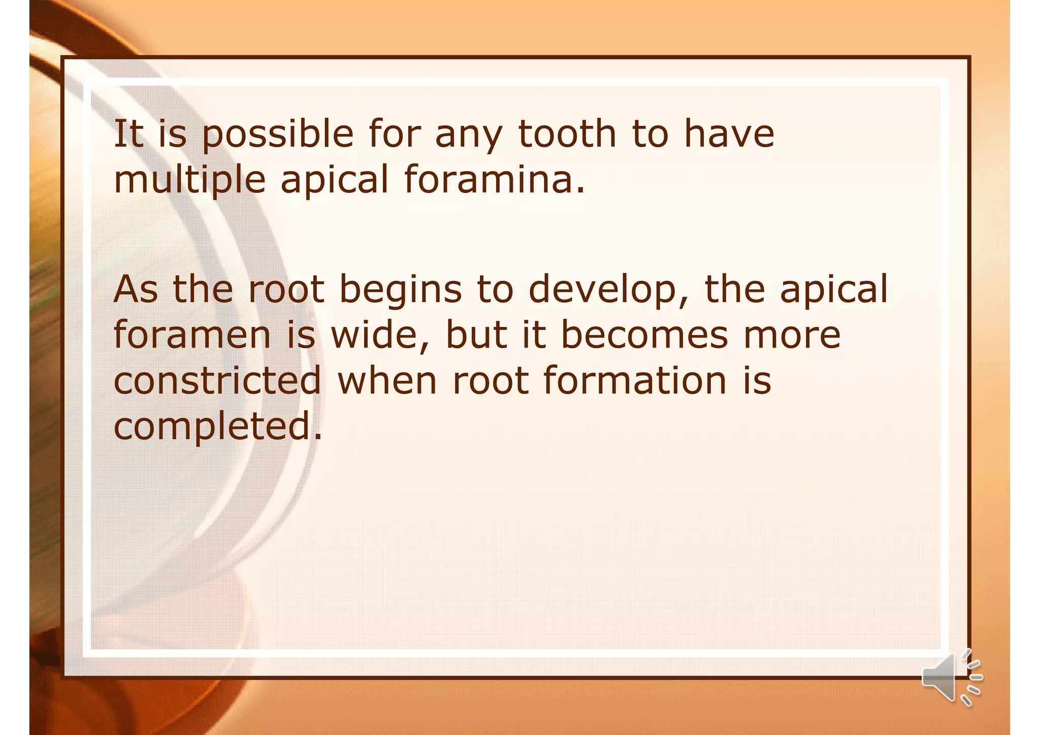 Anatomy of dental pulp.pdf