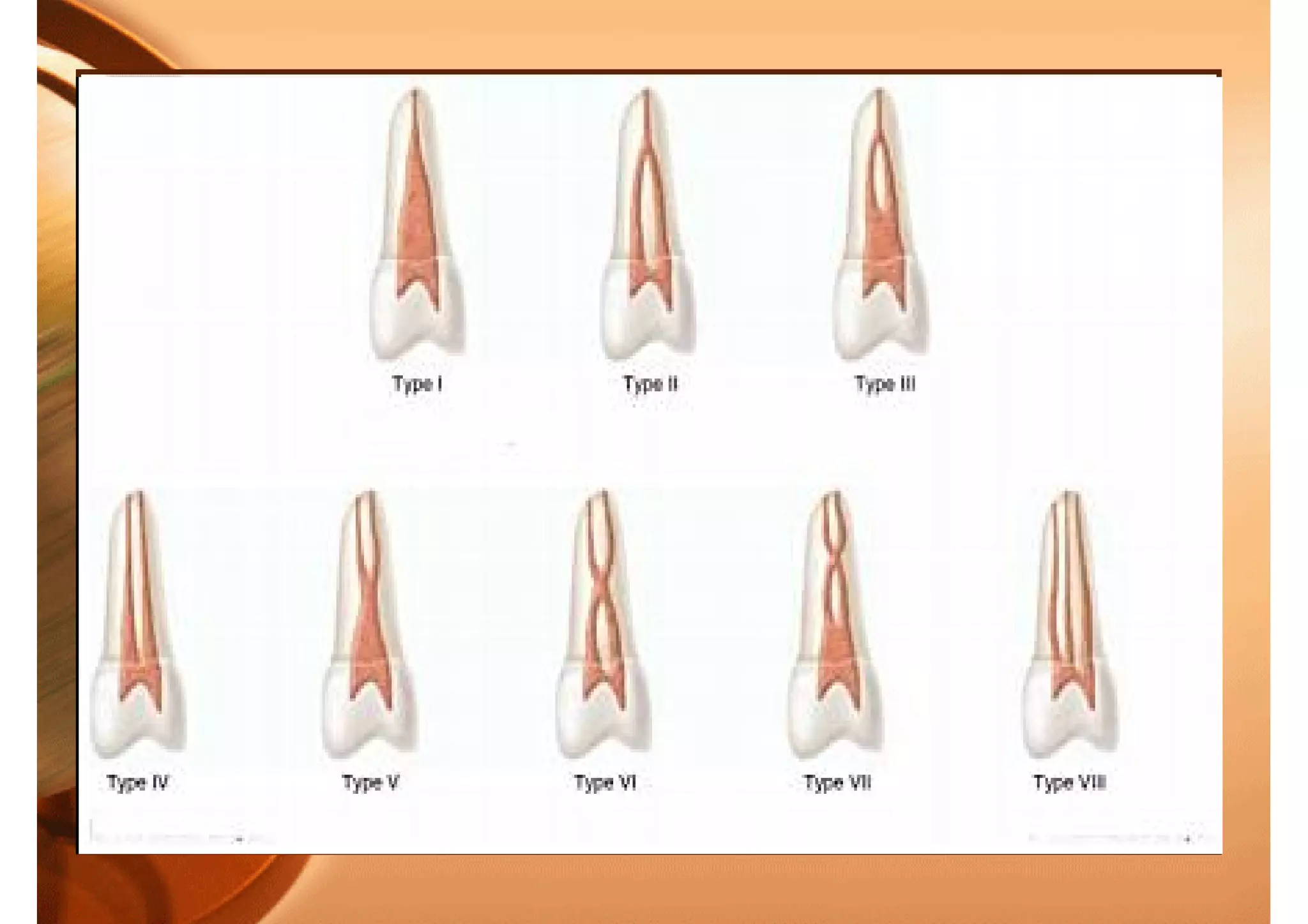 Anatomy of dental pulp.pdf