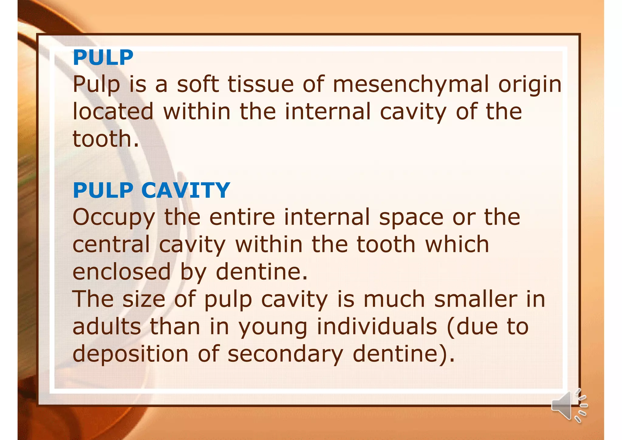 Anatomy of dental pulp.pdf