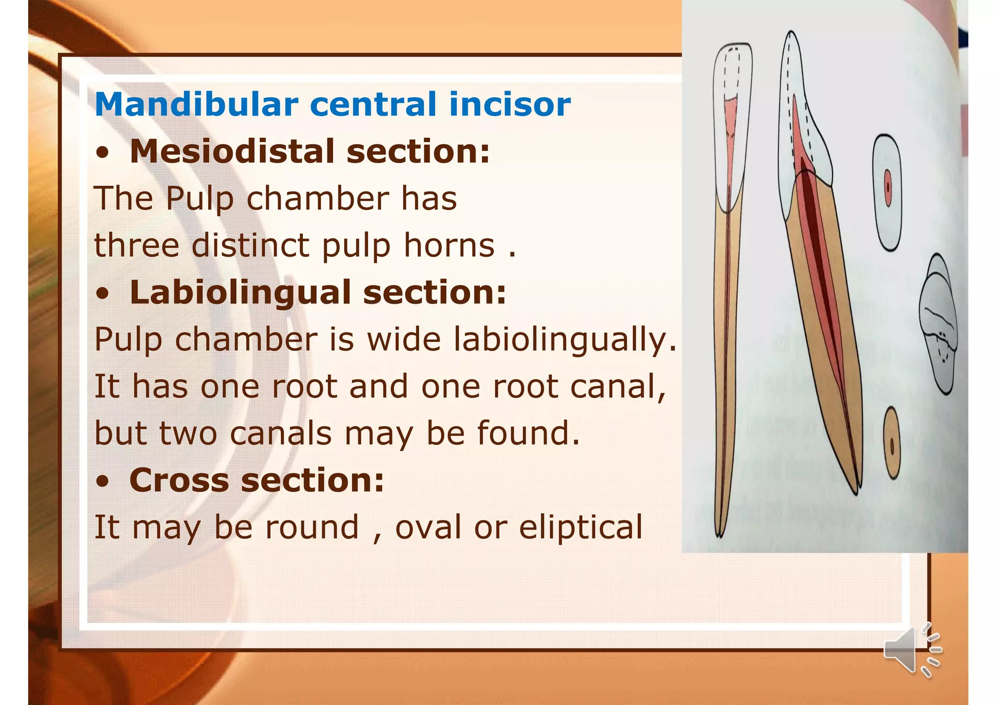 Anatomy of dental pulp.pdf