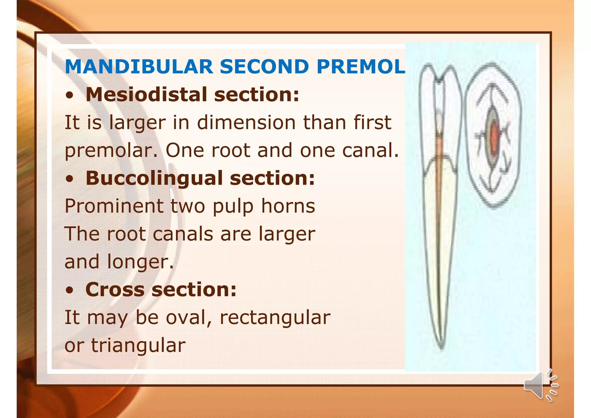 Anatomy of dental pulp.pdf