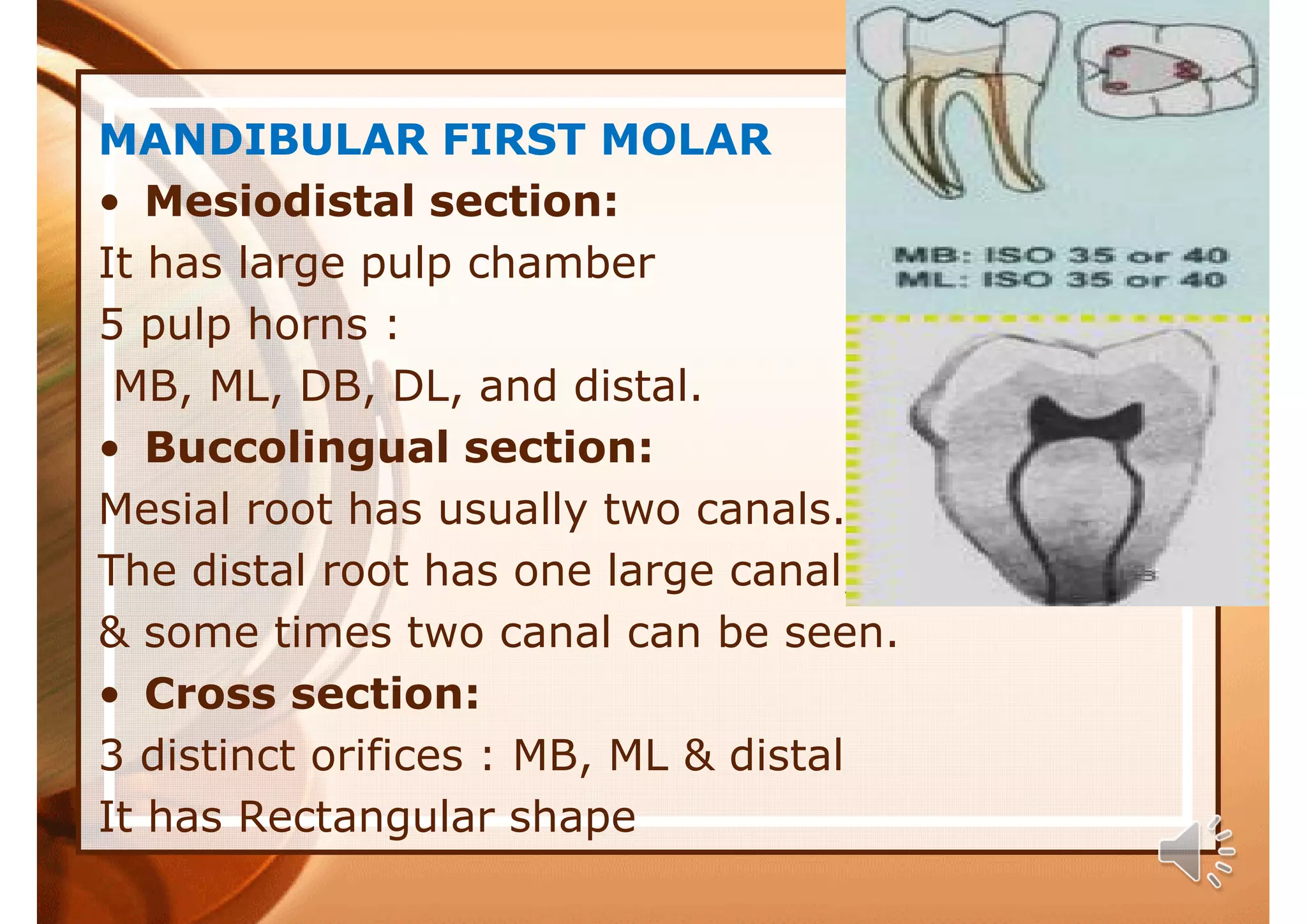 Anatomy of dental pulp.pdf