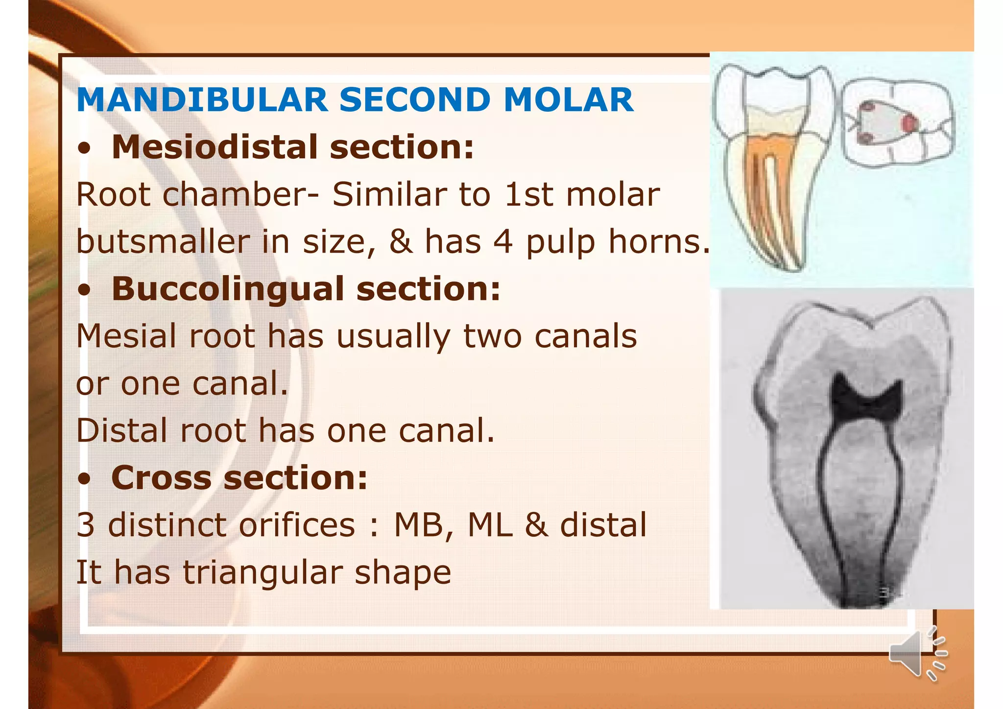 Anatomy of dental pulp.pdf