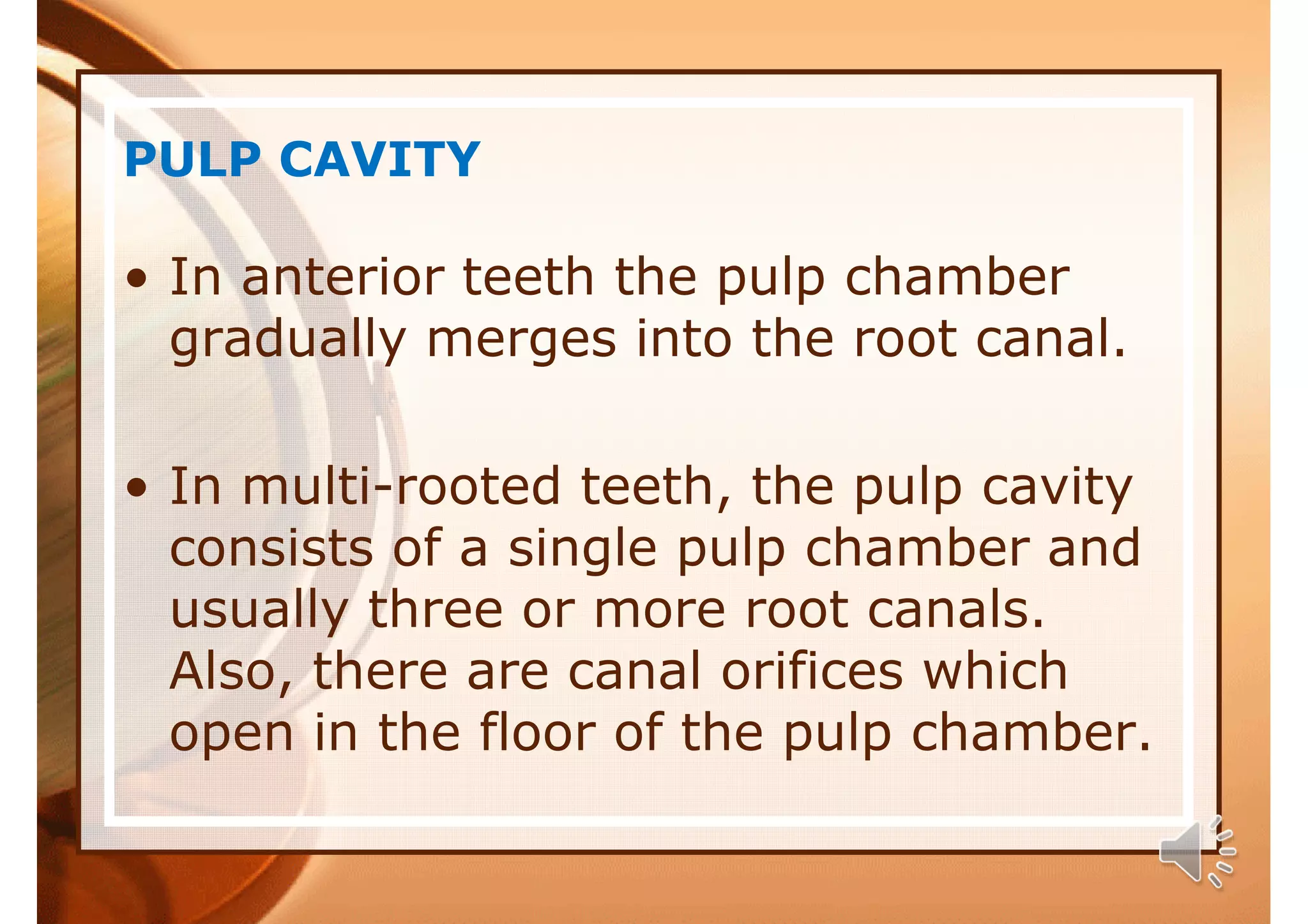 Anatomy of dental pulp.pdf