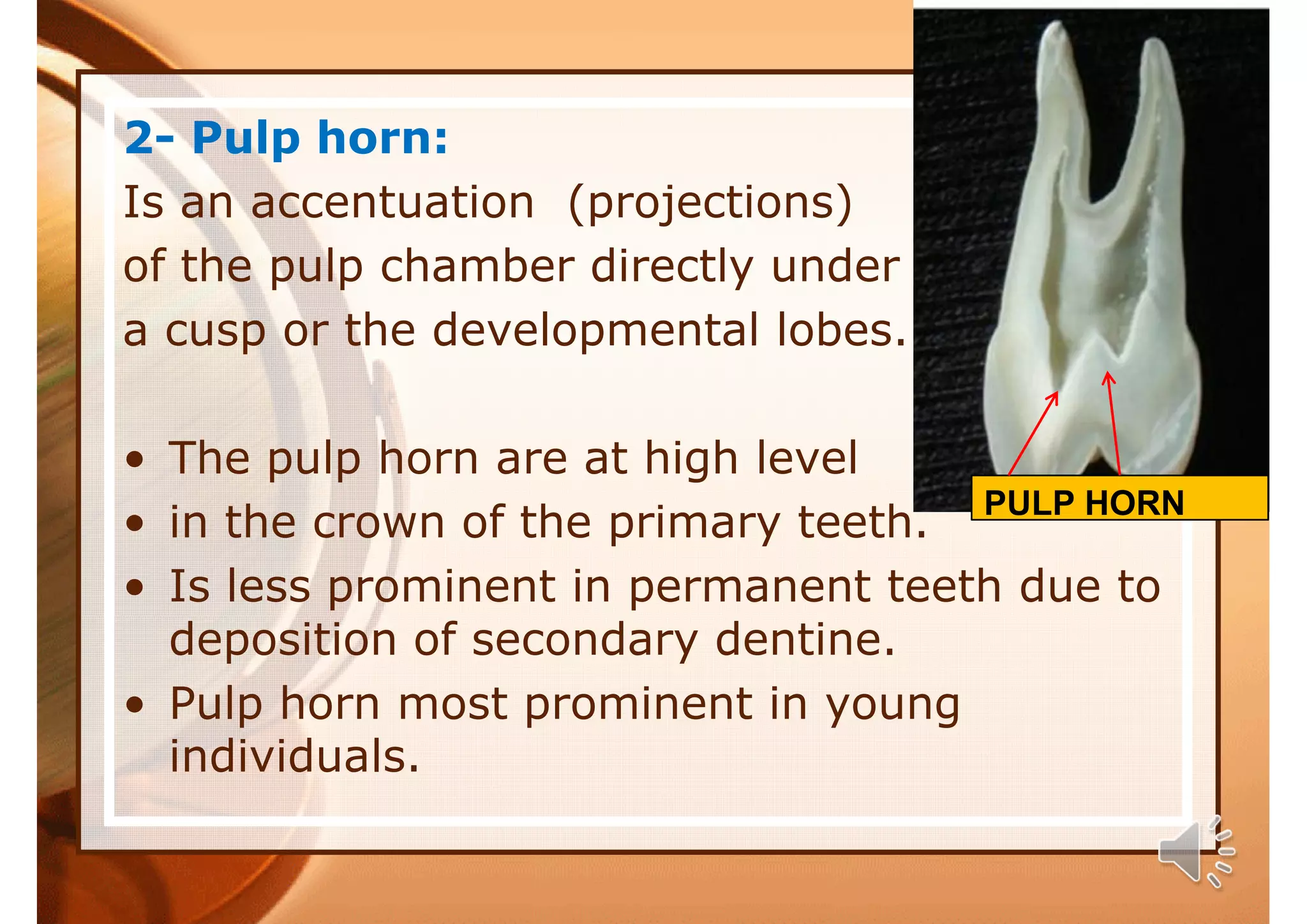Anatomy of dental pulp.pdf | Dental Health | Diseases and Conditions