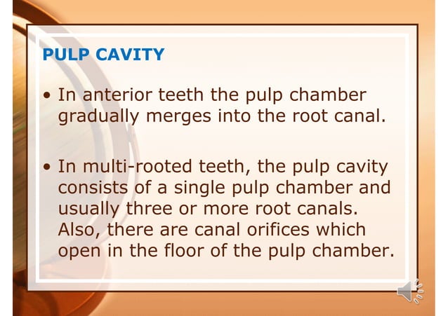 Anatomy of dental pulp.pdf | Dental Health | Diseases and Conditions