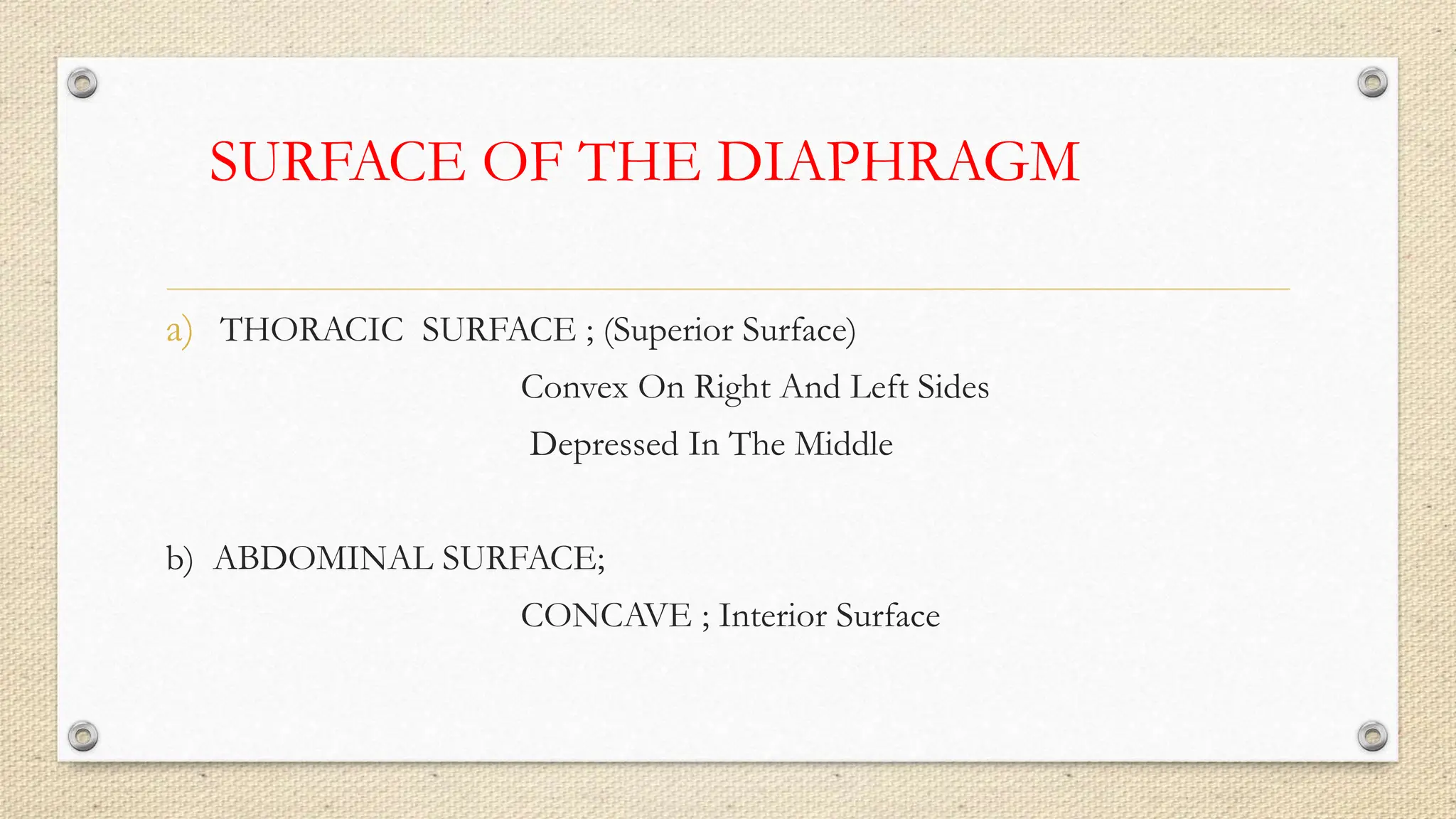Anatomy of Diaphragm - a short notes for exams | PPTX