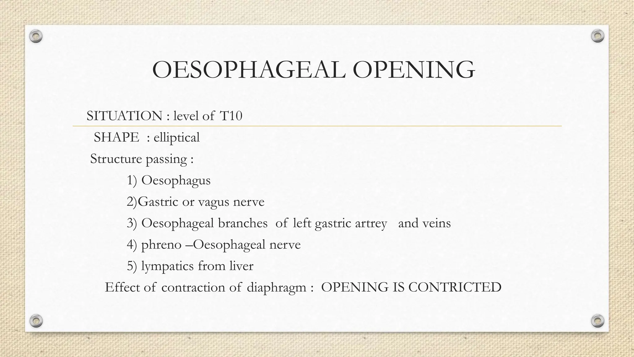 Anatomy of Diaphragm - a short notes for exams | PPTX