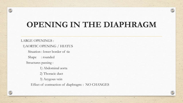 Anatomy of Diaphragm - a short notes for exams | PPTX | Physical ...