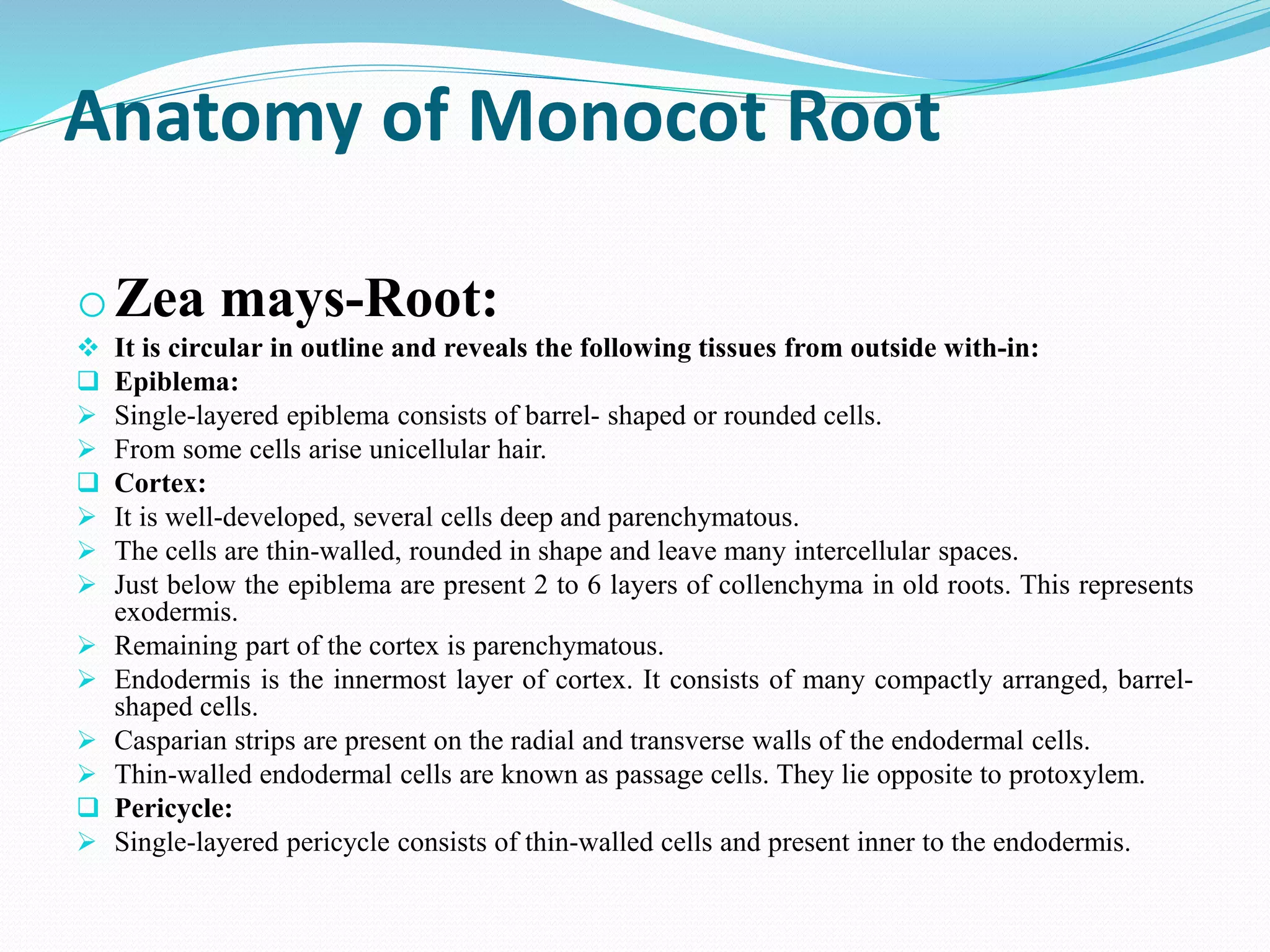 Anatomy of Dicot and monocot Root.pptx