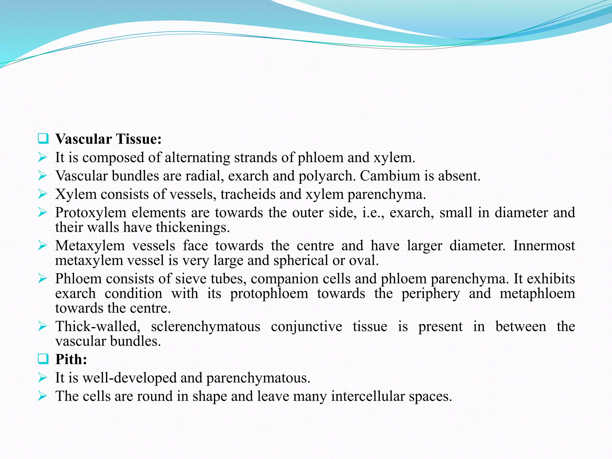 Anatomy of Dicot and monocot Root.pptx