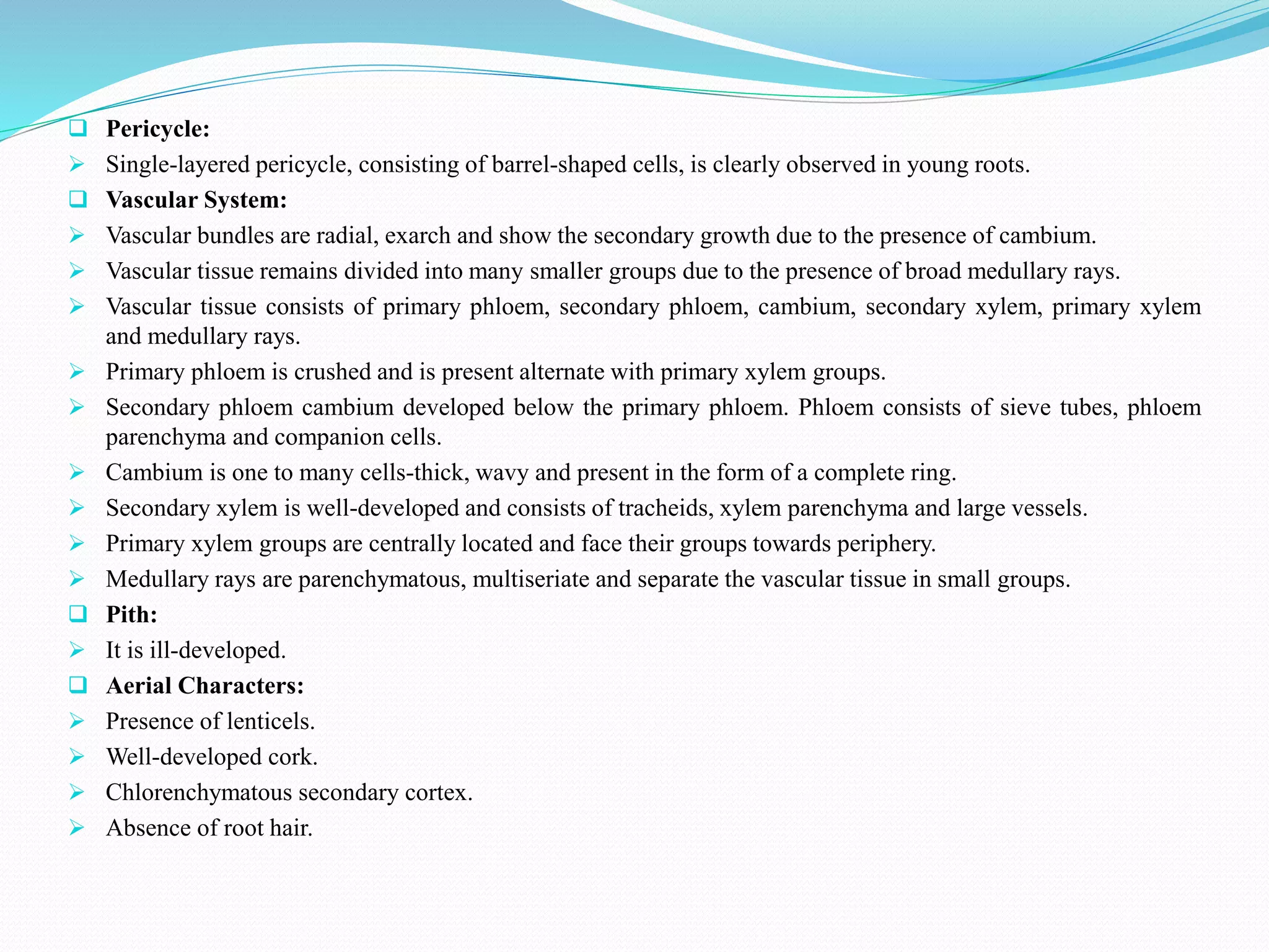 Anatomy of Dicot and monocot Root.pptx