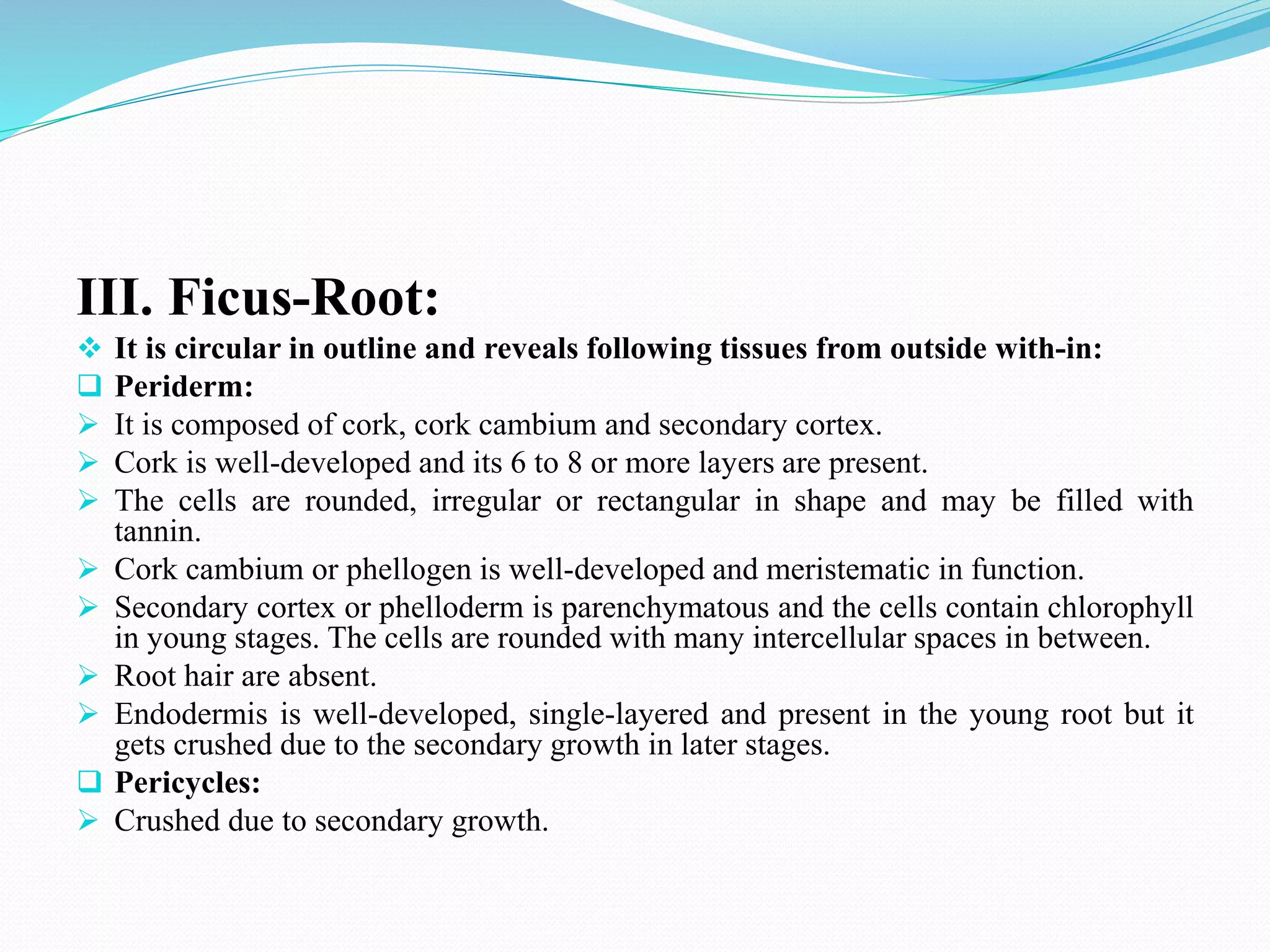 Anatomy of Dicot and monocot Root.pptx