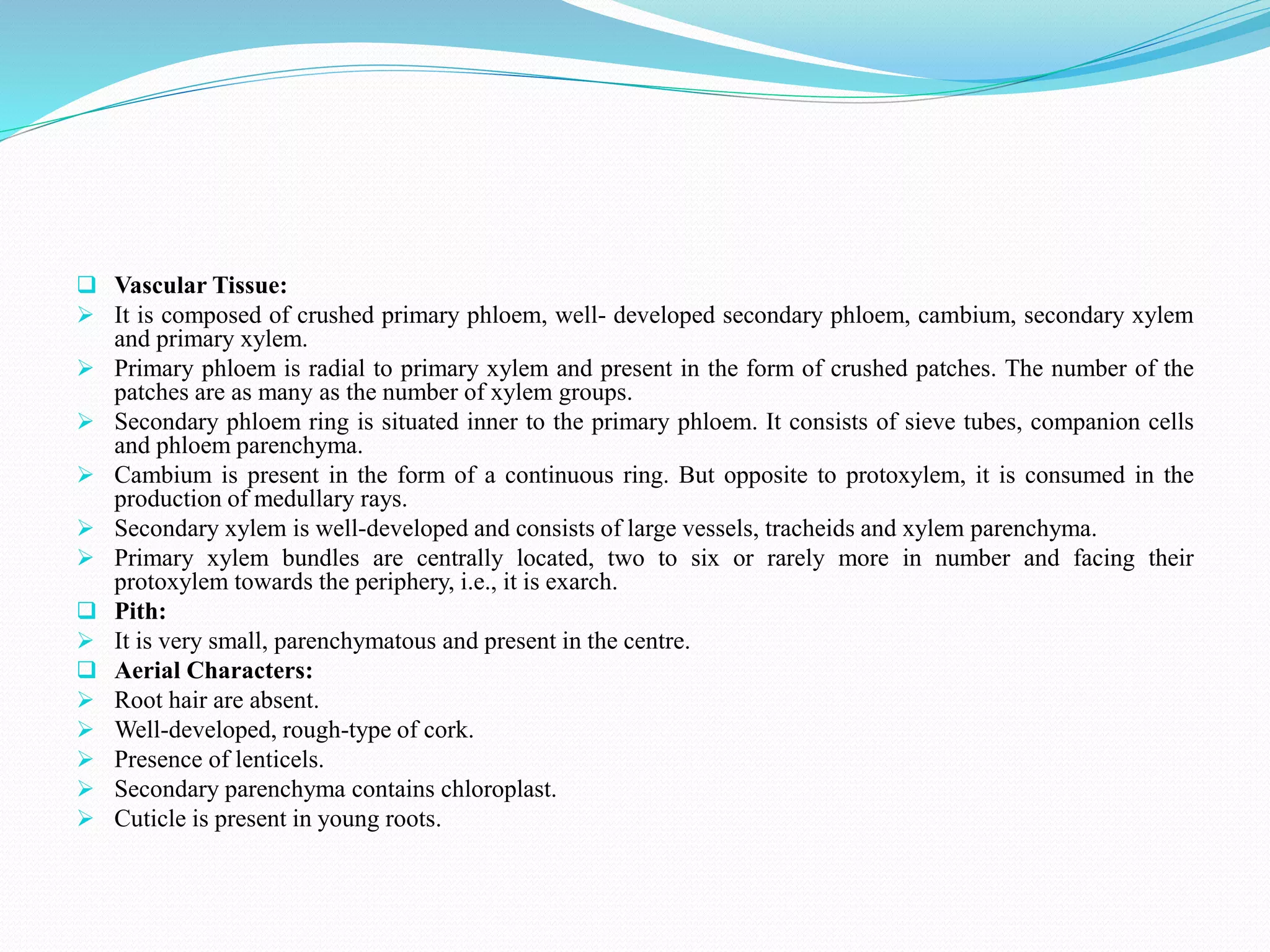 Anatomy of Dicot and monocot Root.pptx