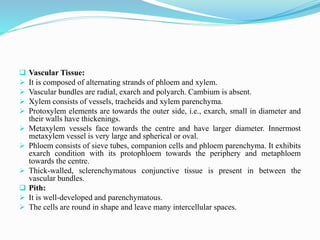 Anatomy of Dicot and monocot Root.pptx