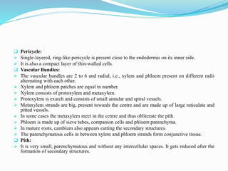 Anatomy of Dicot and monocot Root.pptx