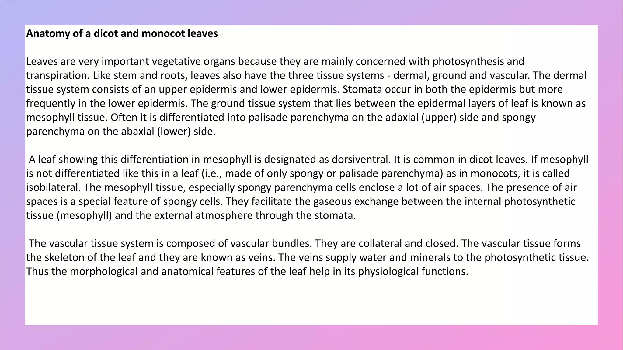 Anatomy of dicot and monocot root,stem and leaf (2).pdf