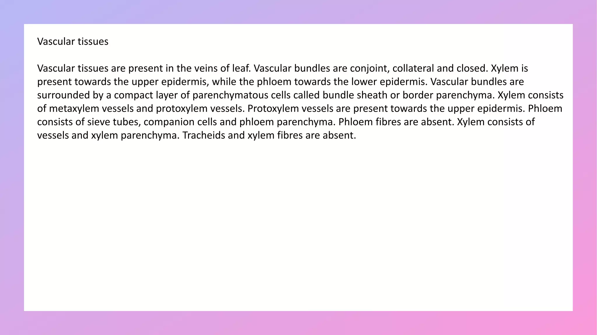 Anatomy of dicot and monocot root,stem and leaf (2).pdf