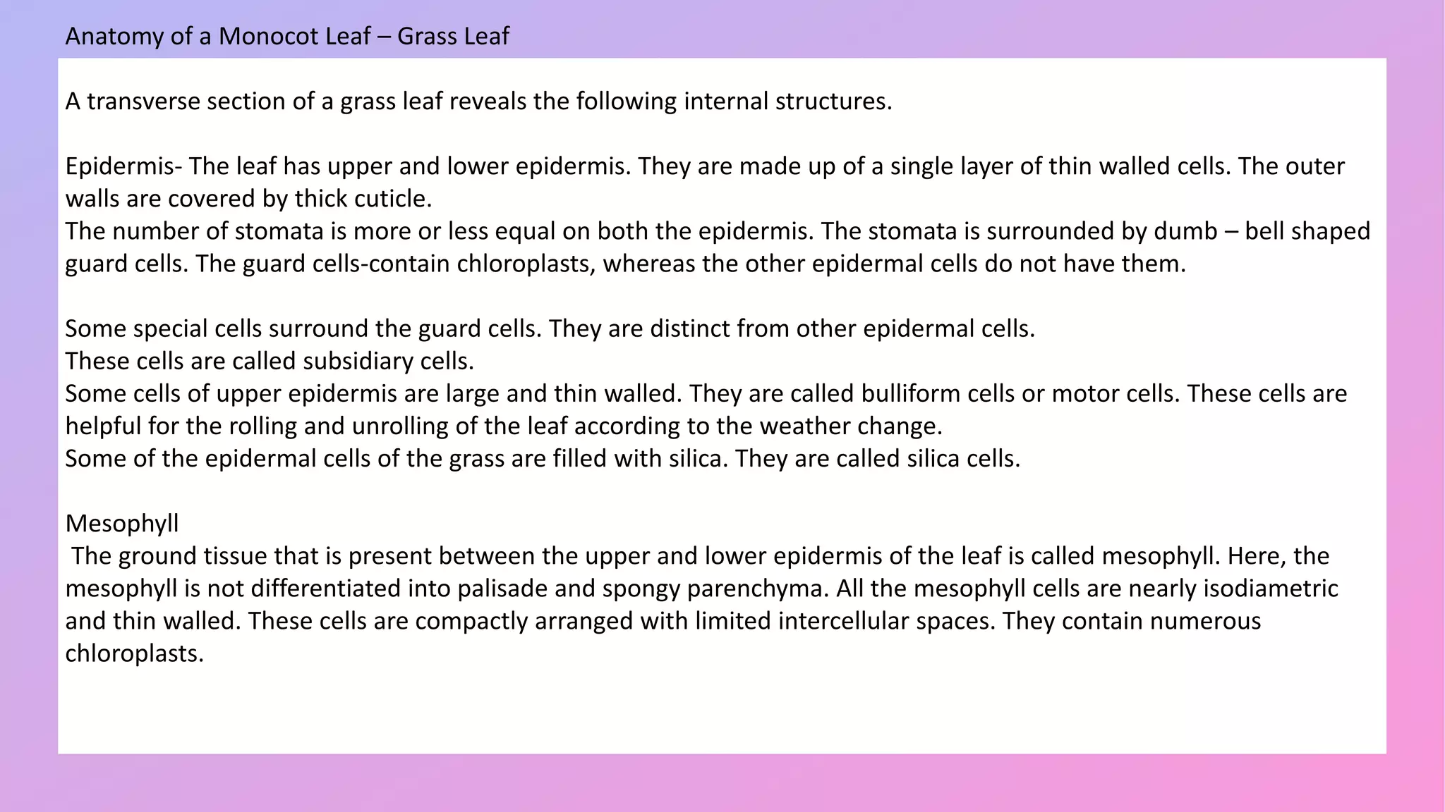 Anatomy of dicot and monocot root,stem and leaf (2).pdf