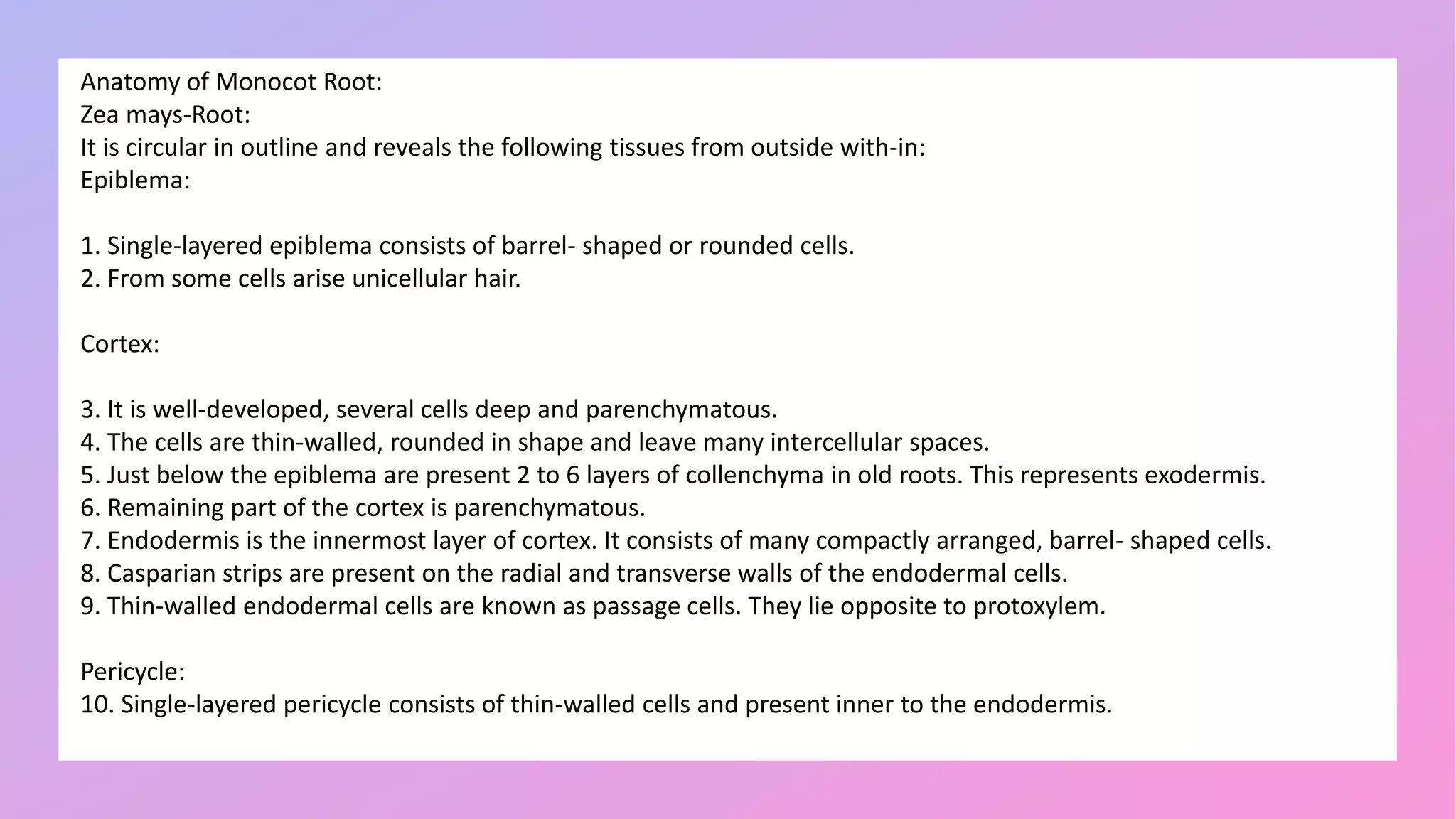 Anatomy of dicot and monocot root,stem and leaf (2).pdf