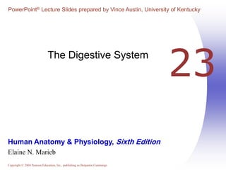 ANATOMY OF Digestive.pdf
