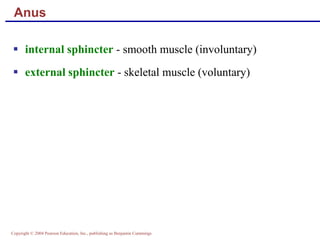 ANATOMY OF Digestive.pdf