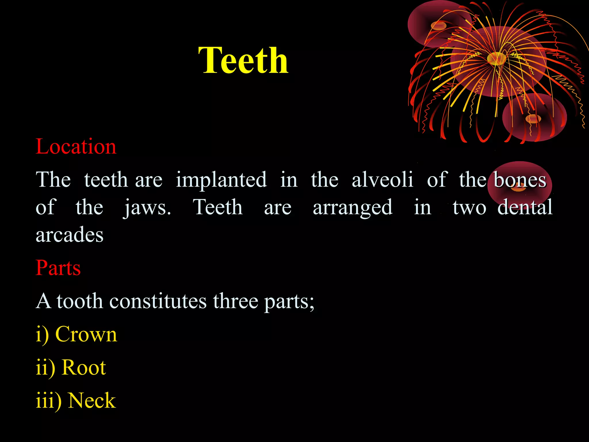 Anatomy of digestive system | PPT