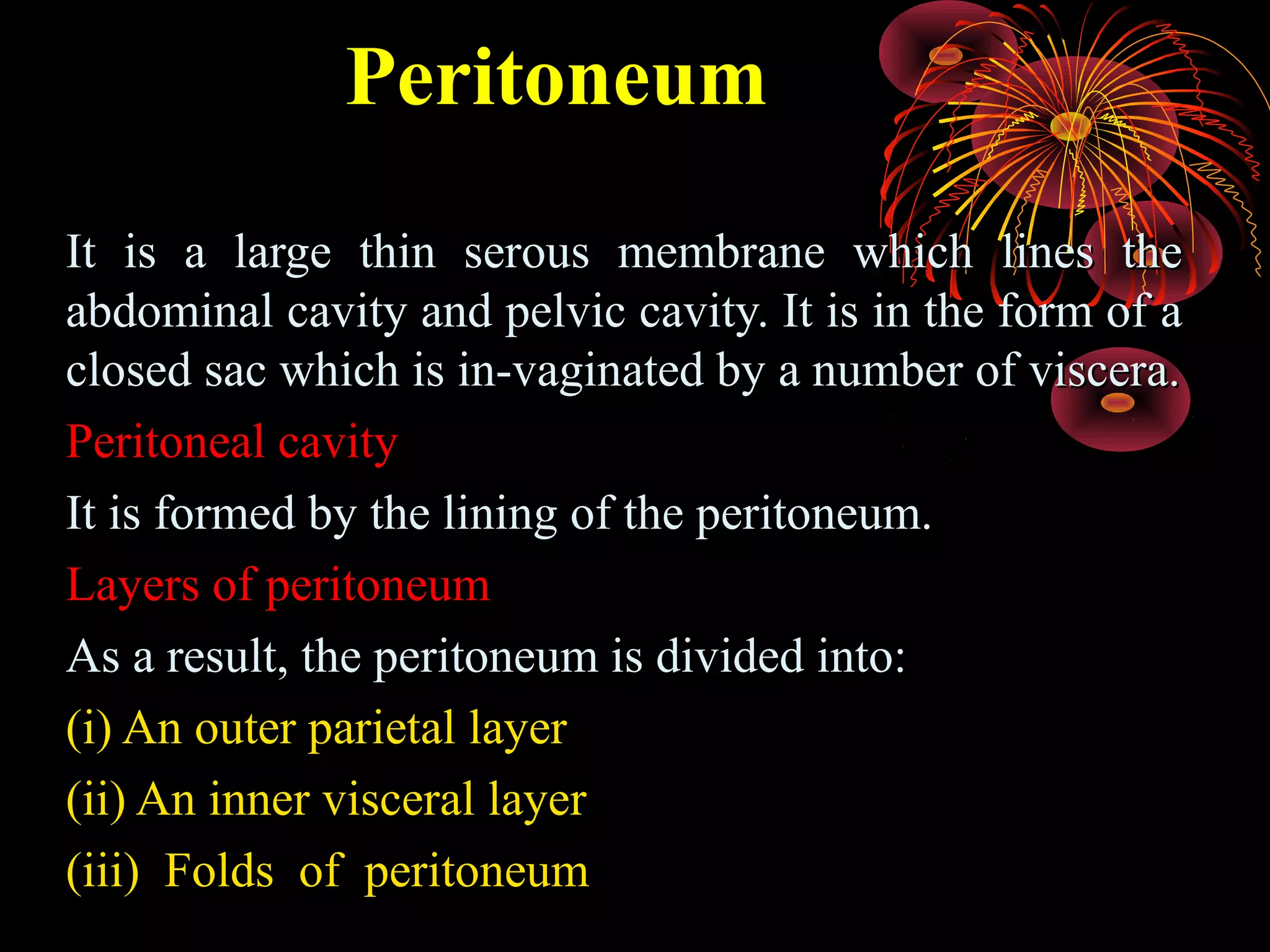Anatomy of digestive system | PPT