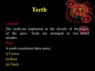 Anatomy of digestive system | PPT