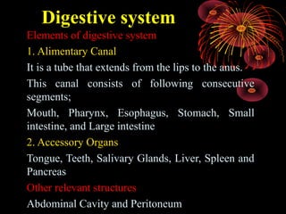 Anatomy of digestive system | PPT