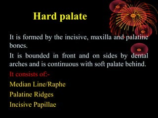 Anatomy of digestive system | PPT | Ear, Nose and Throat Conditions ...