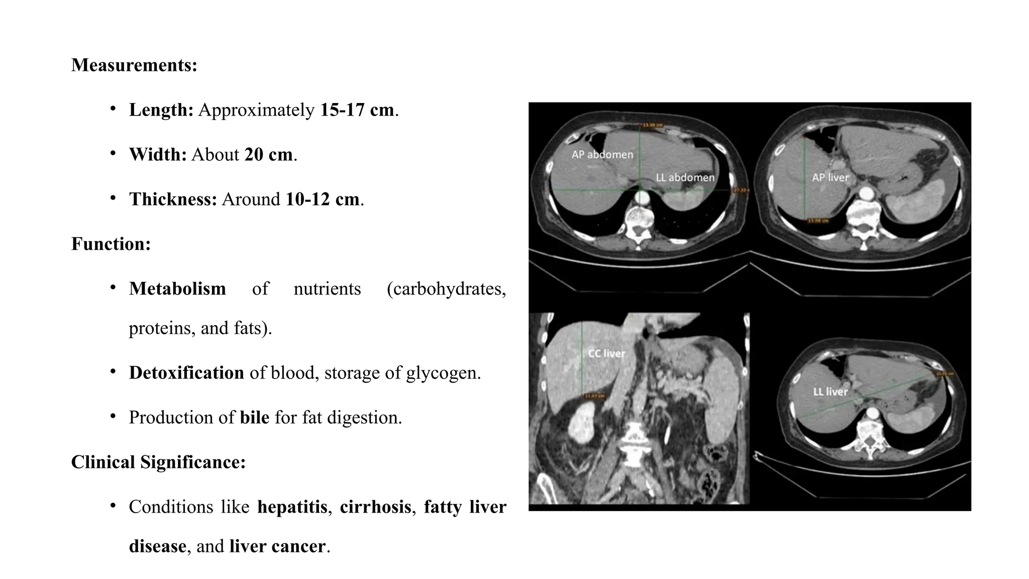 Anatomy of Digestive System, Liver, pancreas, and gallbladder .pptx