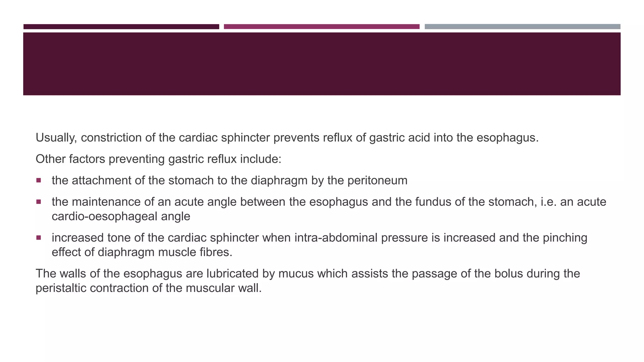 Anatomy of digestive system-II.pptx