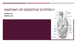 Anatomy of digestive system-II.pptx