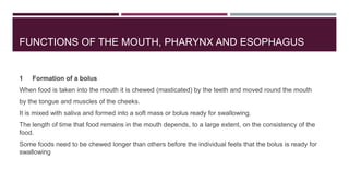 Anatomy of digestive system-II.pptx