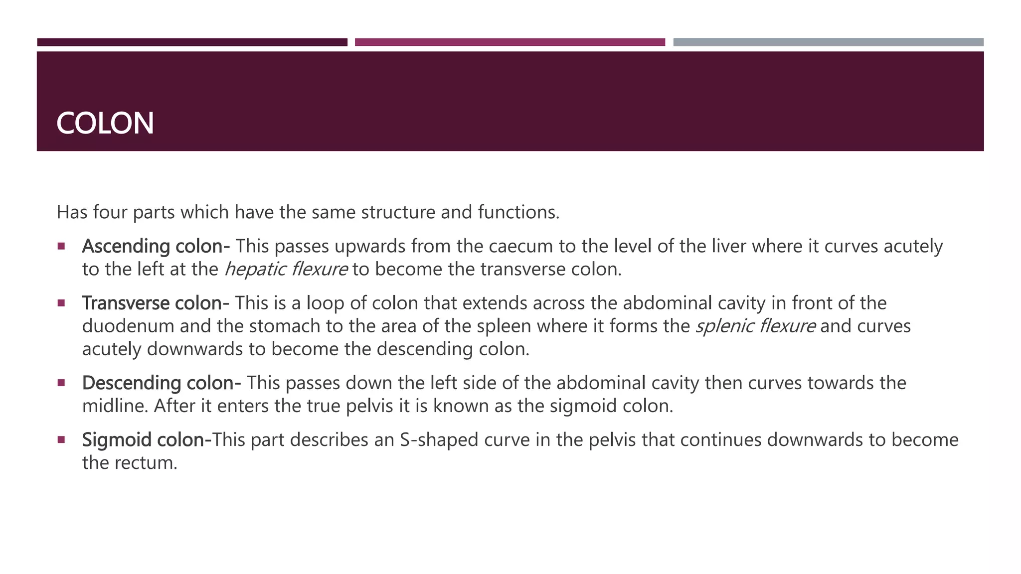 Anatomy of digestive system-III.pptx