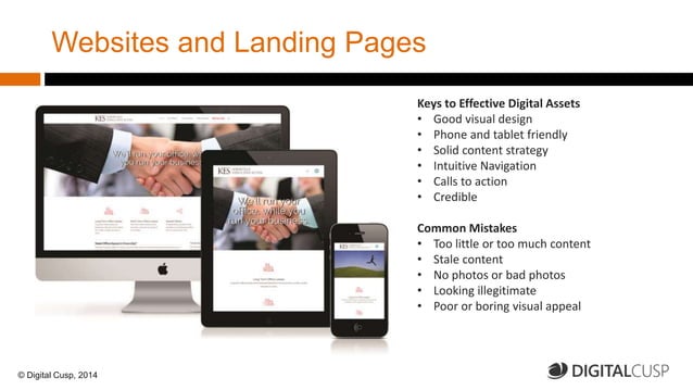 Digital Cusp - Anatomy | PPT