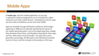 Digital Cusp - Anatomy | PPT