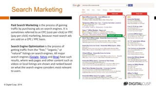 Digital Cusp - Anatomy | PPT