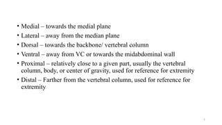 Animal Tissue & Anatomy of Domestic Animals.pptx