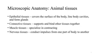 Animal Tissue & Anatomy of Domestic Animals.pptx