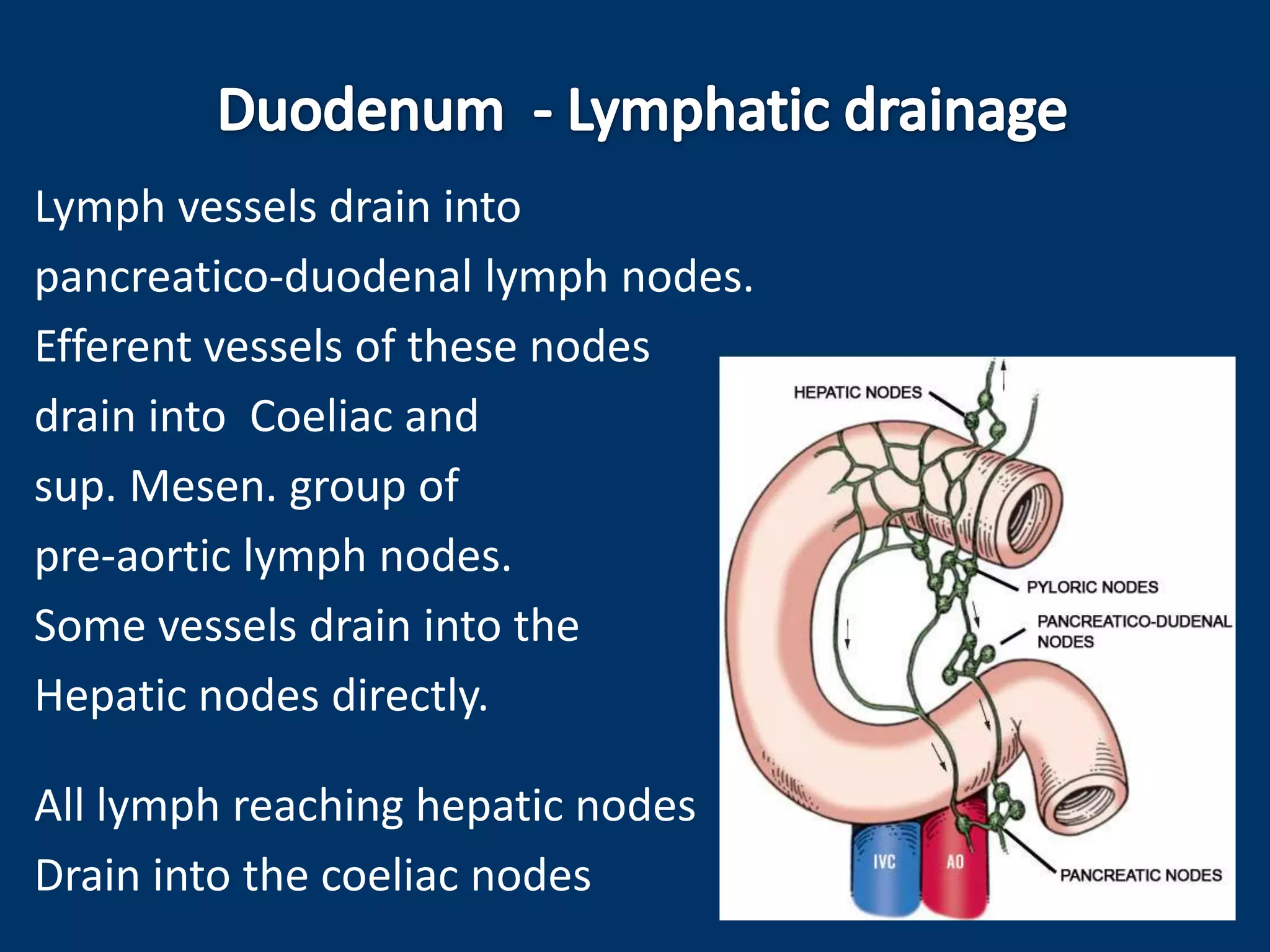 Anatomy of duodenum, duodenum structure, PPT of duodenum, power point presentation duodenum | PPTX
