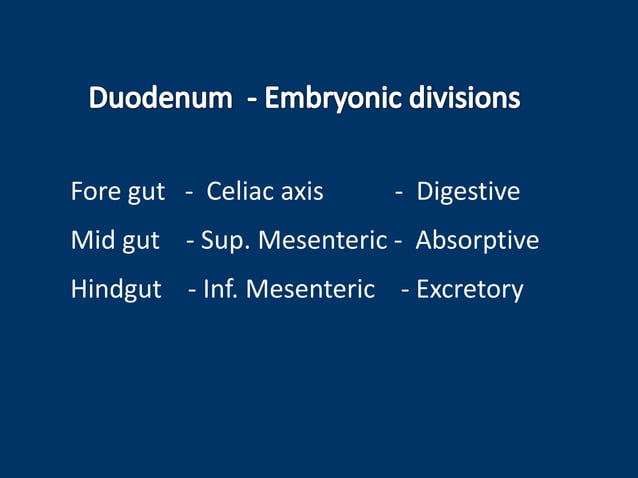 Anatomy of duodenum, duodenum structure, PPT of duodenum, power point presentation duodenum ...